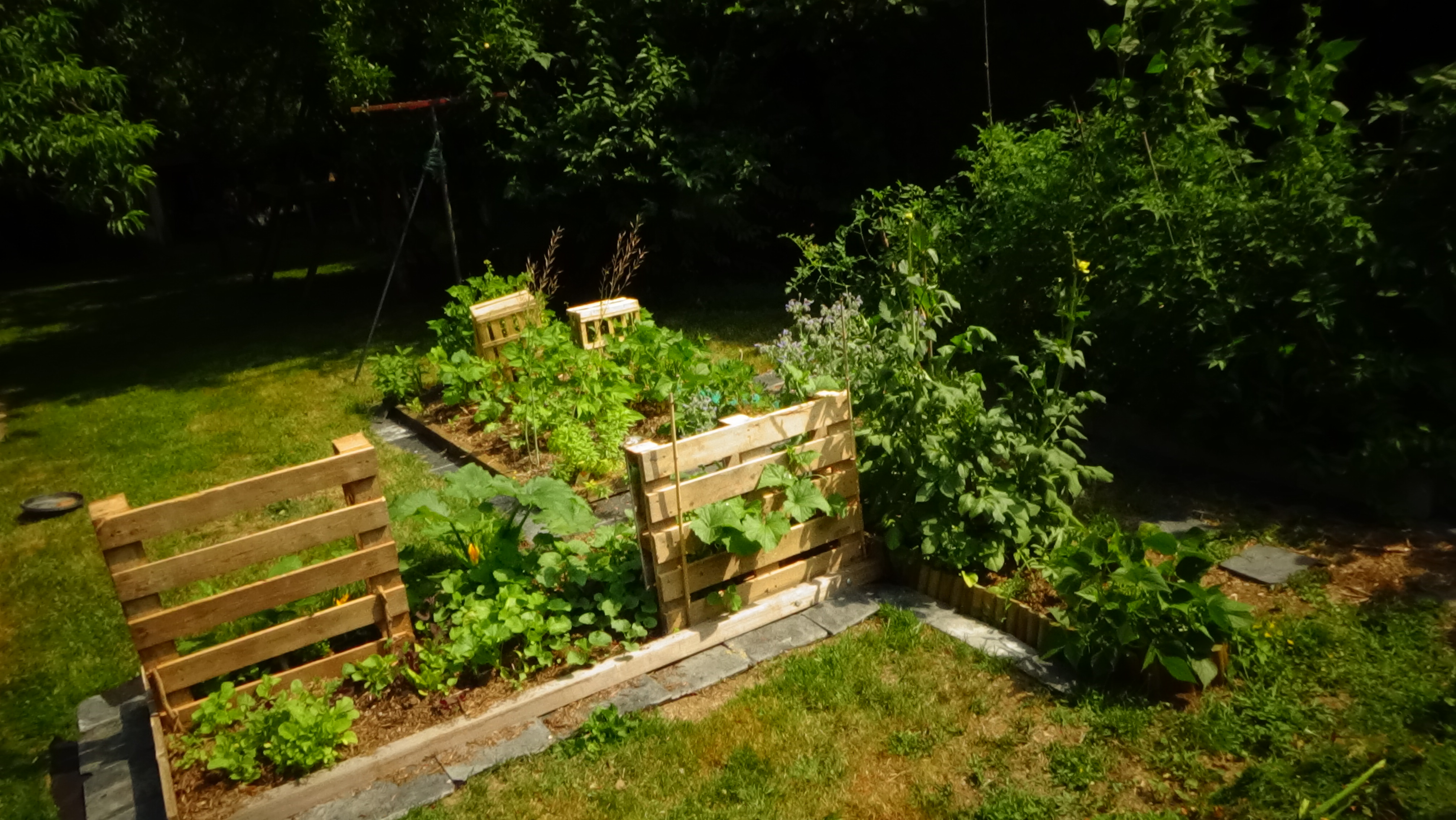 Parler du potager: légumes, aromates et expressions en vidéo – The ...